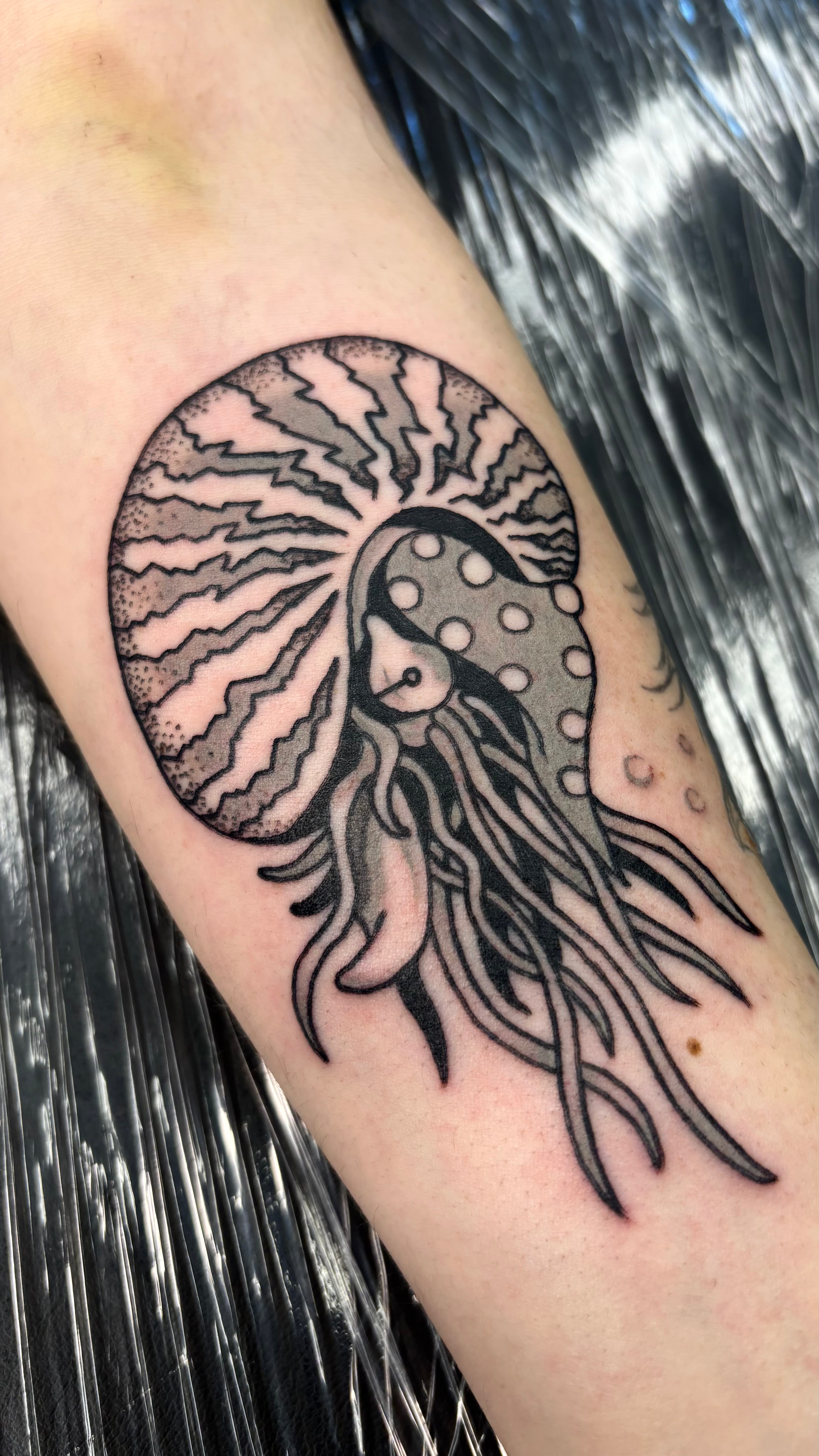 Freeman Tattoo Co. – Local Auburn Maine Tattoo Shop